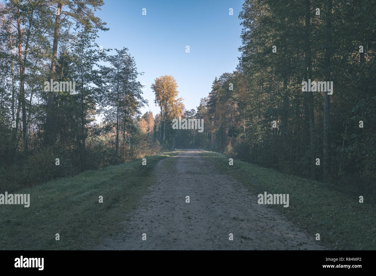 pleasing the senses or mind aesthetically country gravel road in autumn ...