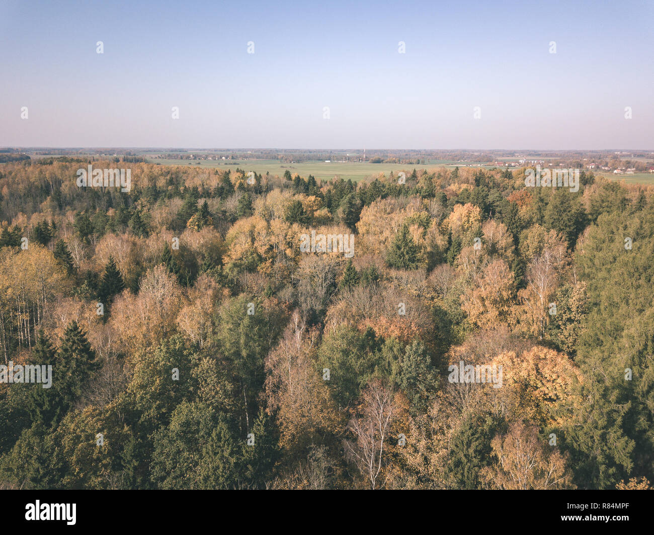 drone image. aerial view of rural area with fields and forests in ...