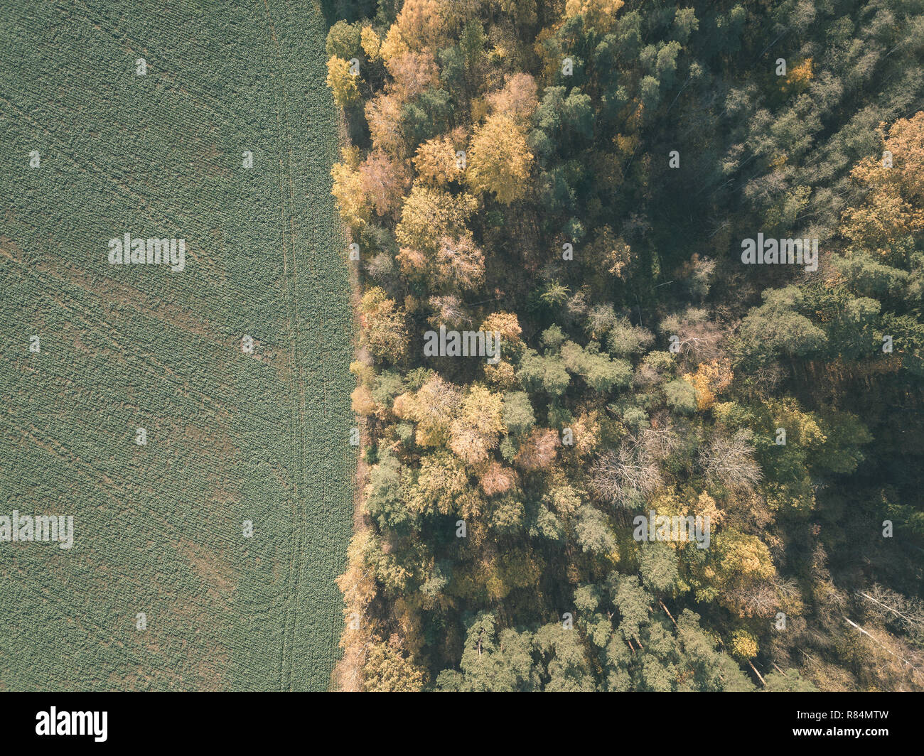 drone image. aerial view of rural area with fields and forests in ...