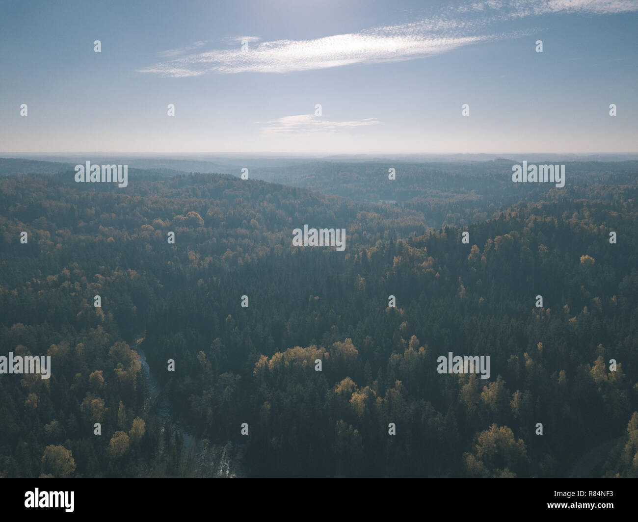 drone image. aerial view of rural area with fields and forests in ...