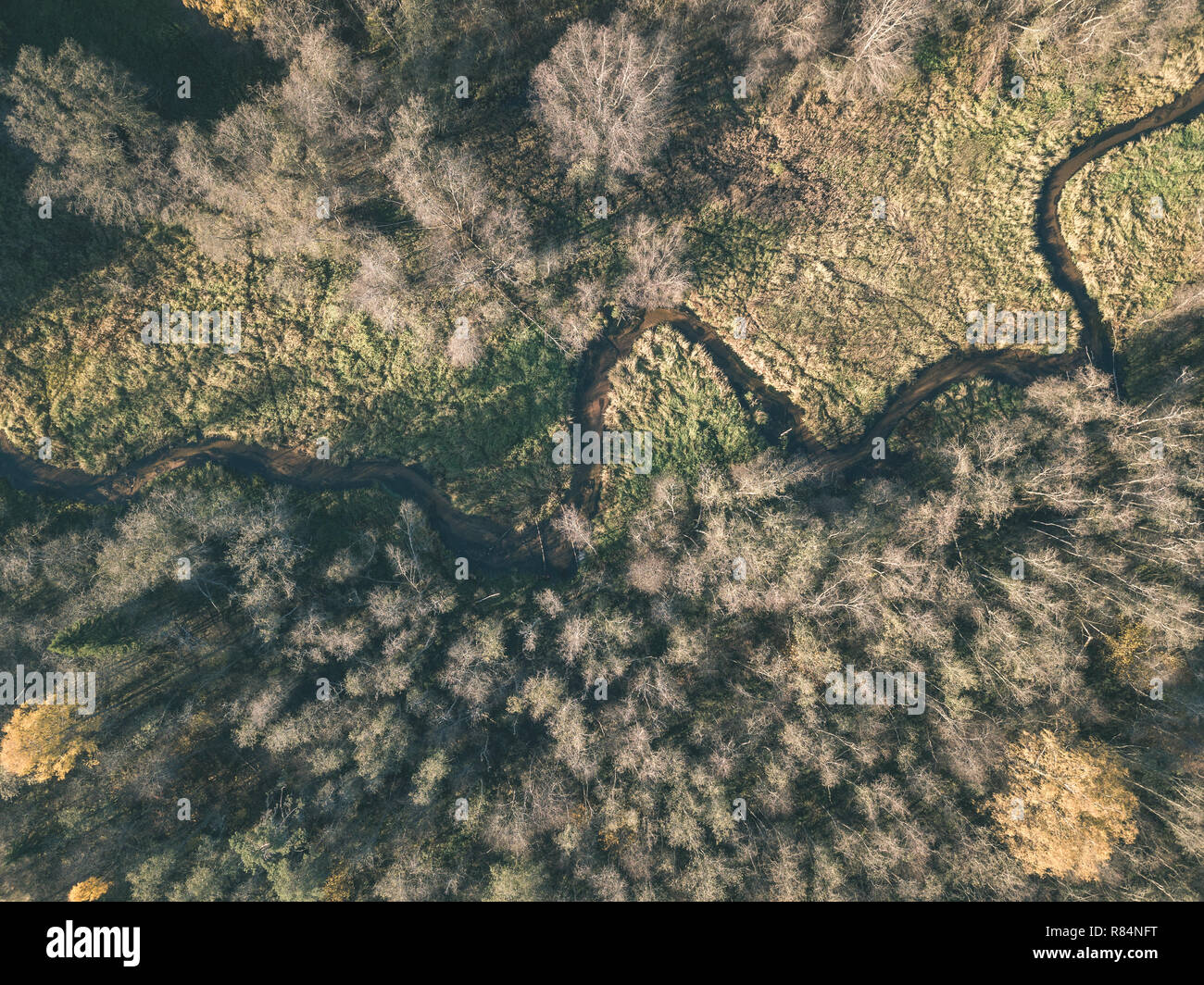 drone image. aerial view of wavy river in autumn colored forest. latvia ...
