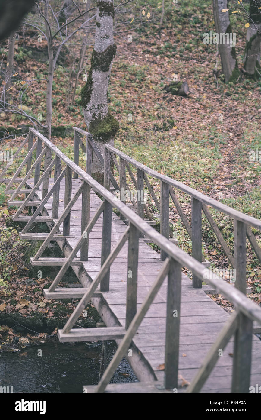 wooden plank bridge over water in forest in autumn with grey colors ...