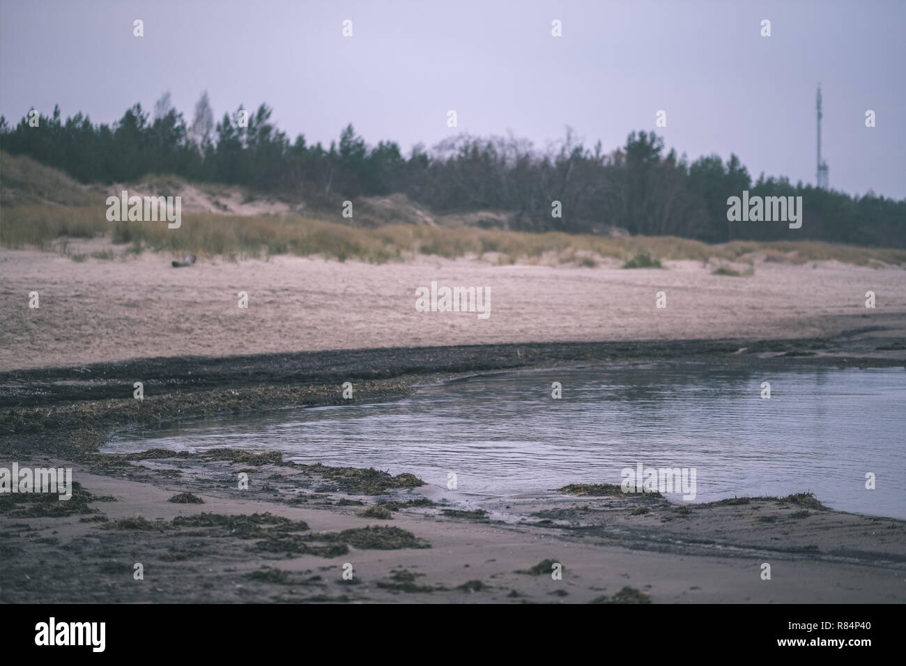 empty sea beach in autumn with mist and cool tones in empty sand ...
