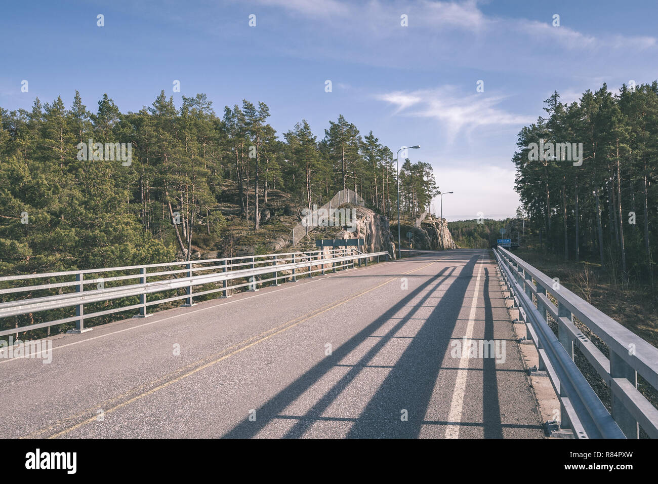 simple countryside forest road in perspective with foliage and trees ...
