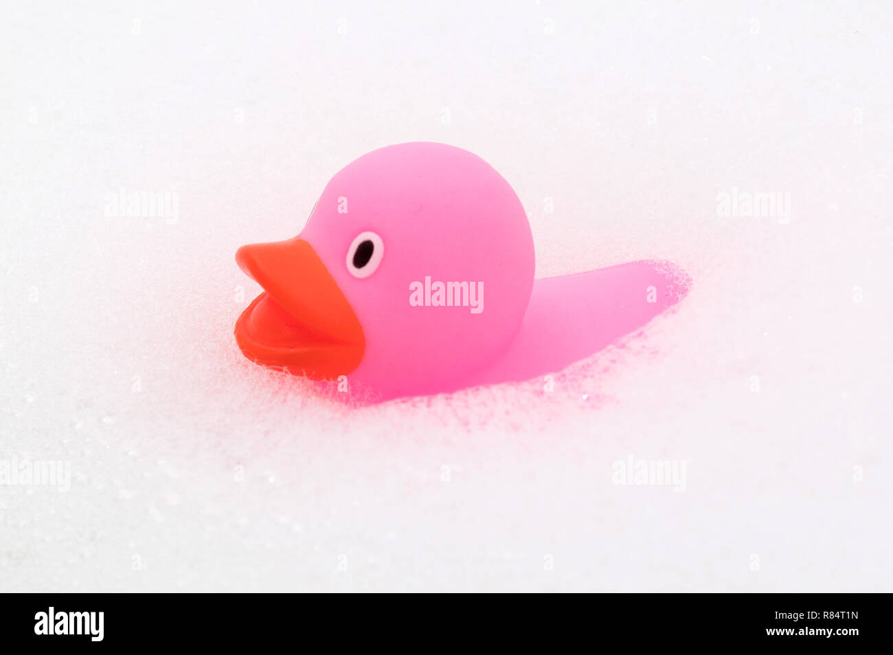 Pink duck hi-res stock photography and images - Alamy