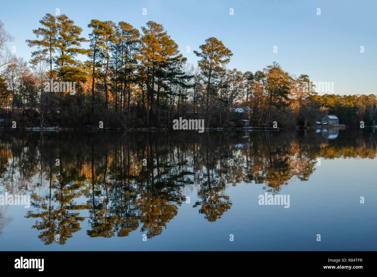 Late afternoon sunshine falls upon the trees across the pond with ...
