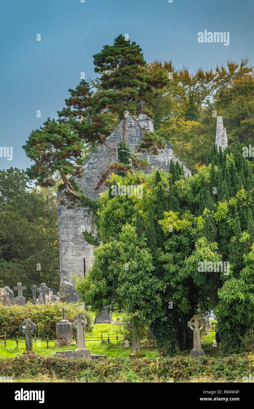 Franciscan friary killarney hi-res stock photography and images - Alamy