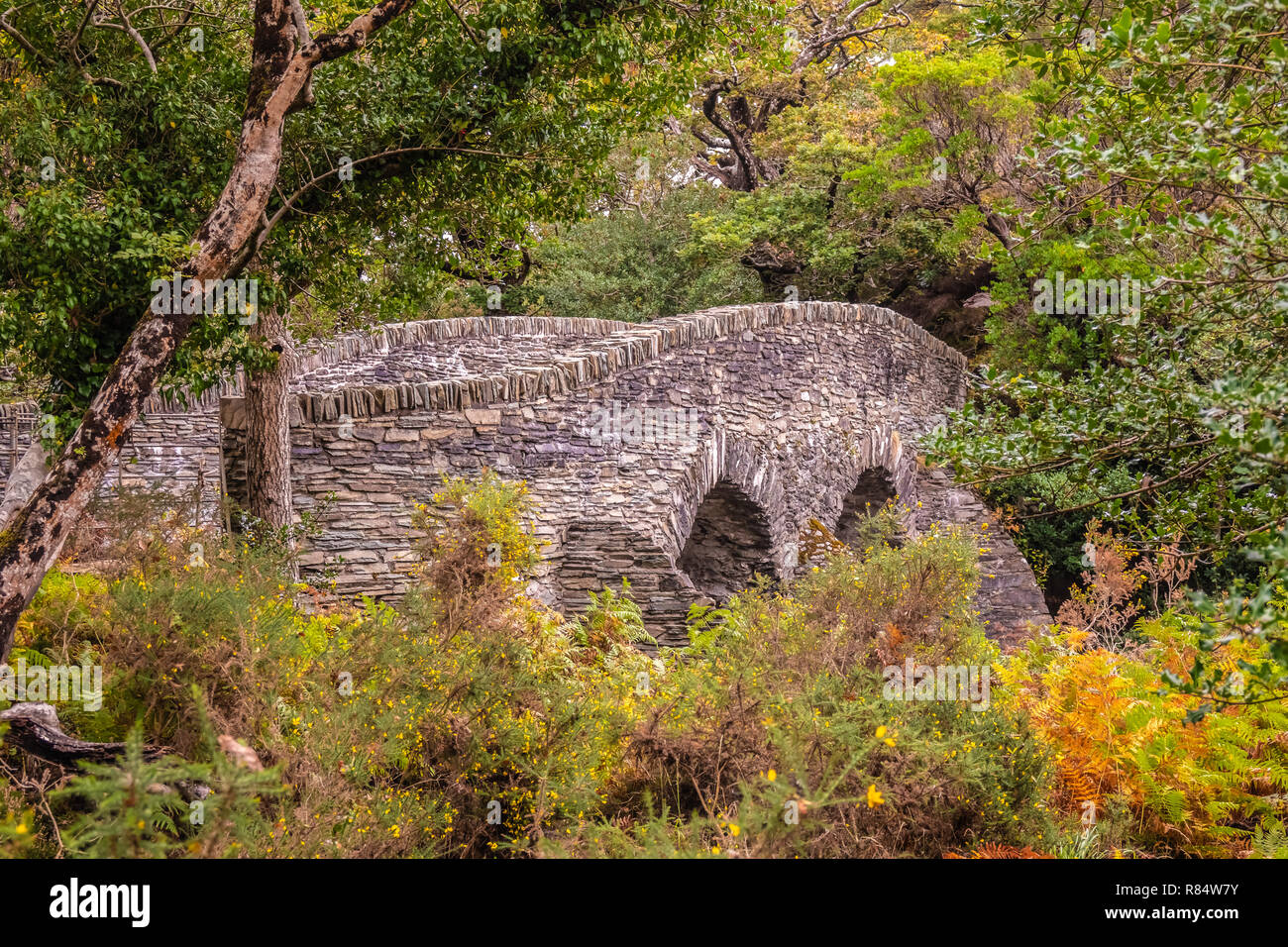 Old Weir Bridge, Meeting of the Waters, where the three Killarney lakes ...