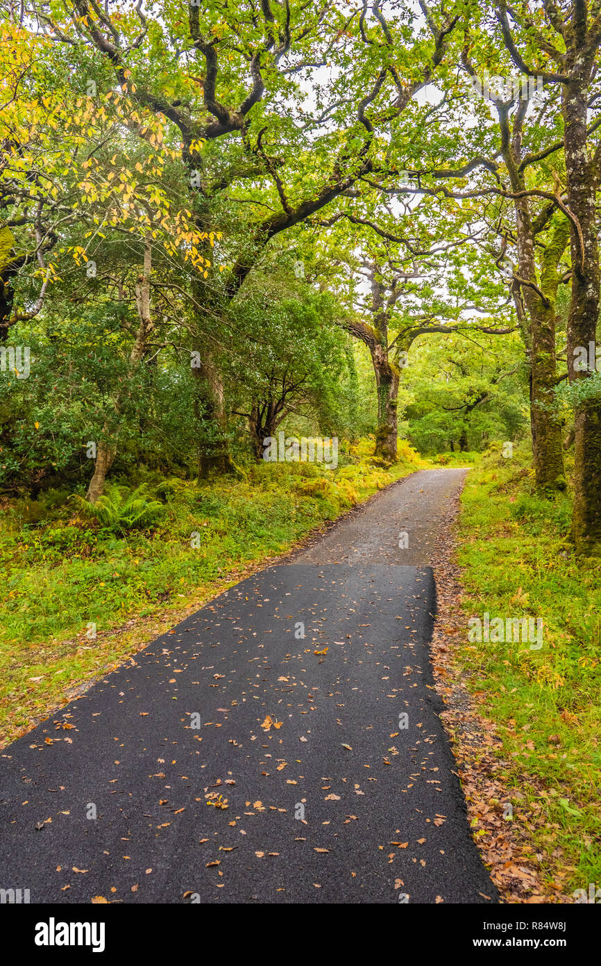 Killarney kenmare road ring of kerry hi-res stock photography and ...