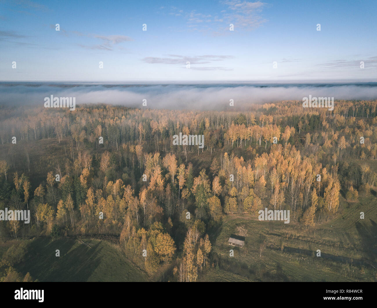 drone image. aerial view of rural area with fields and forests covered ...