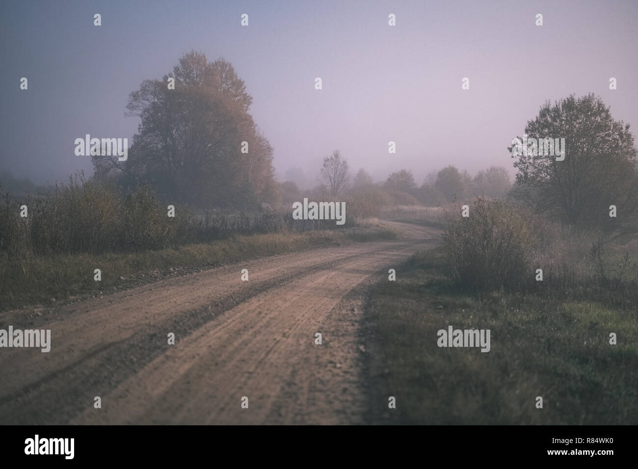 pleasing the senses or mind aesthetically country gravel road in autumn ...