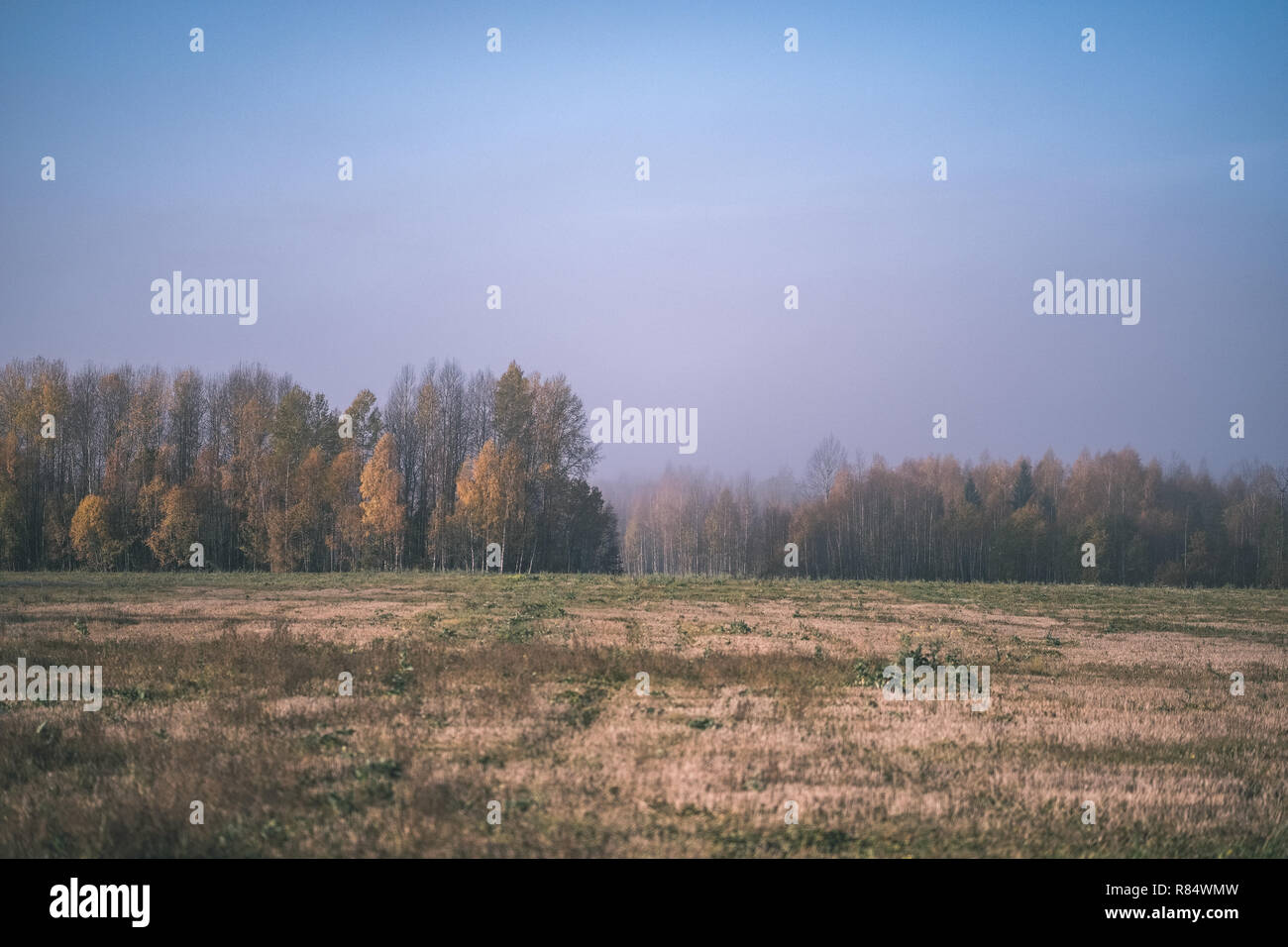 empty field in late autumn in brown fall colors - vintage old film look ...