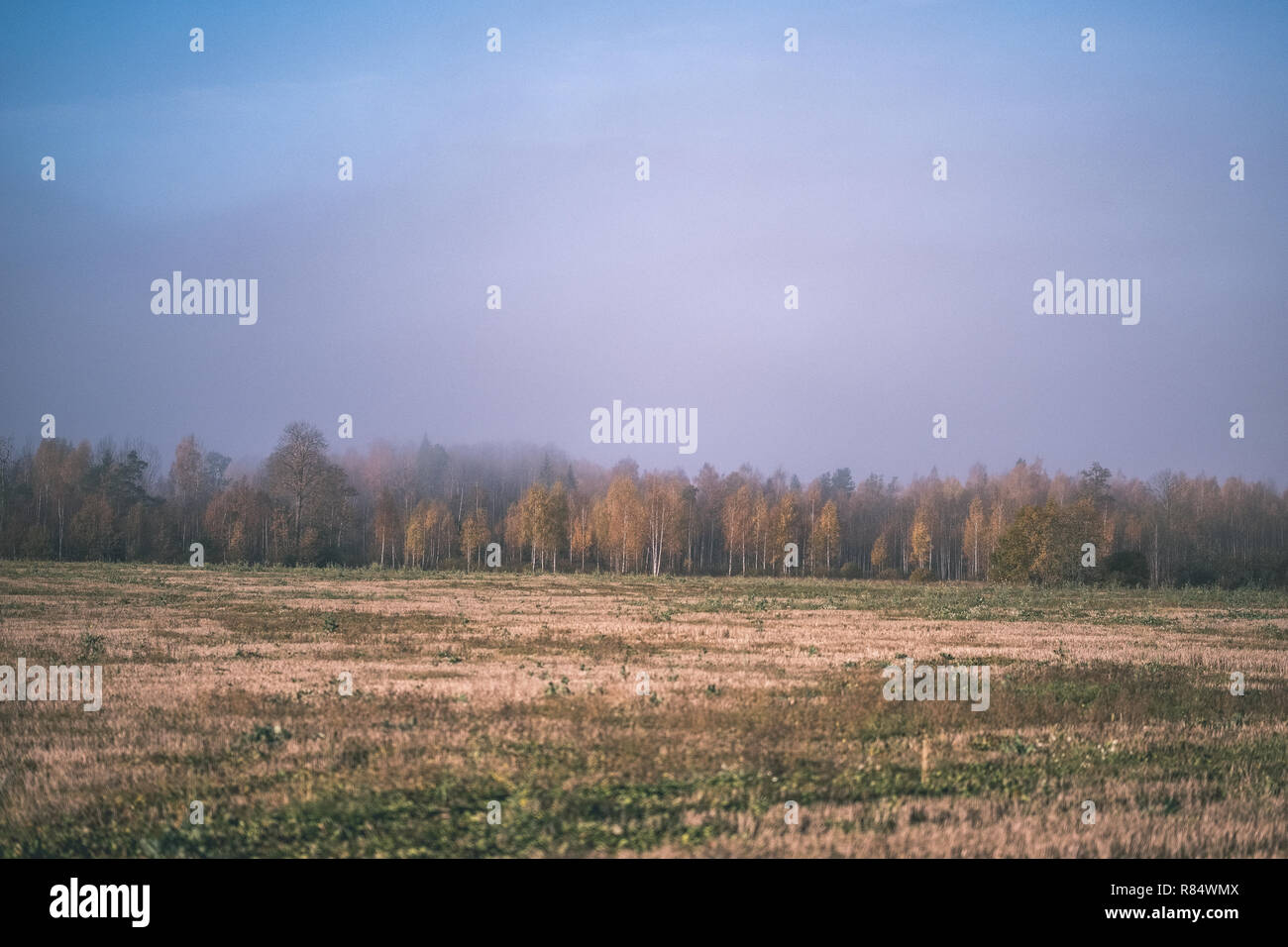empty field in late autumn in brown fall colors - vintage old film look ...