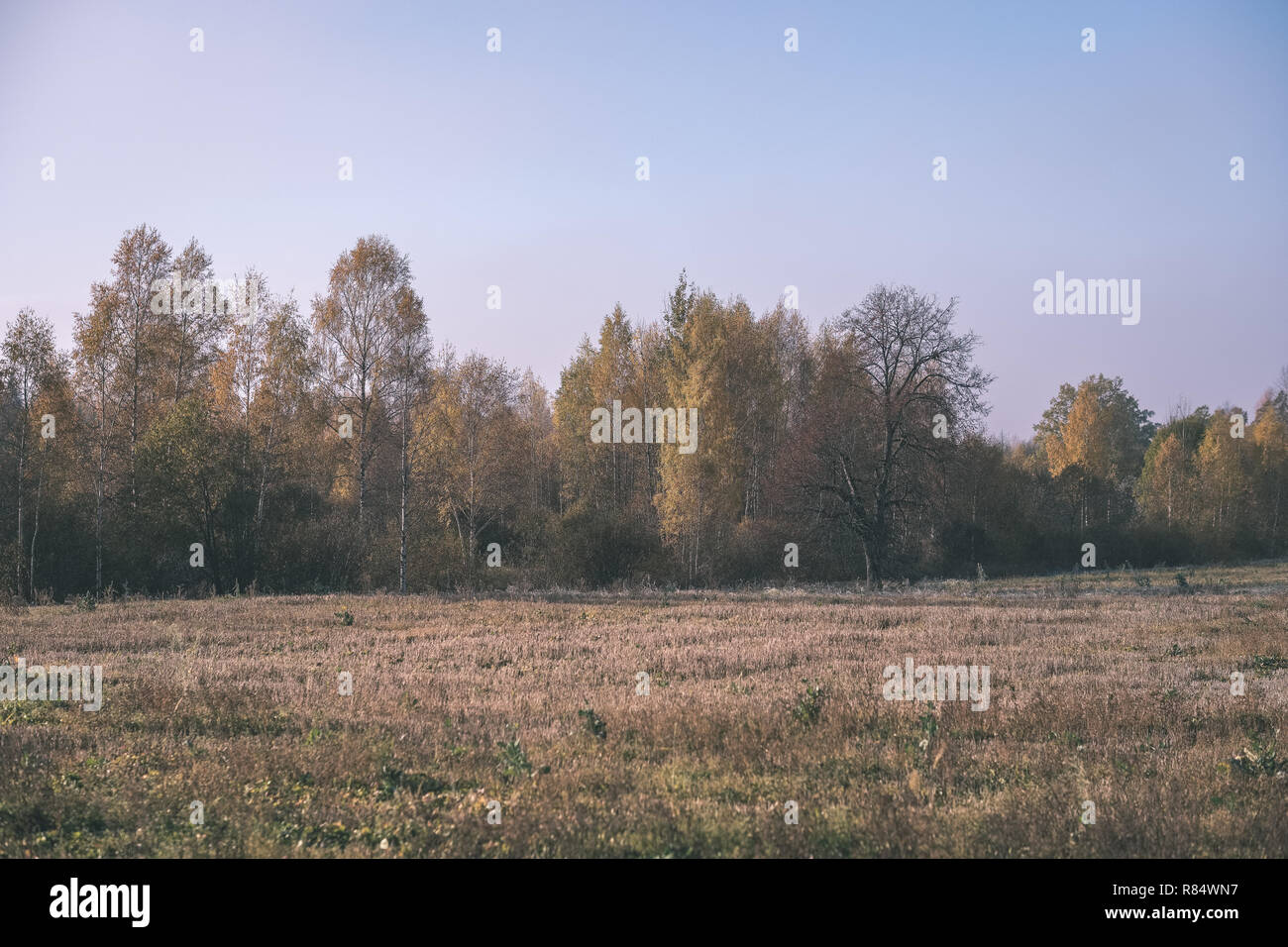 empty field in late autumn in brown fall colors - vintage old film look ...