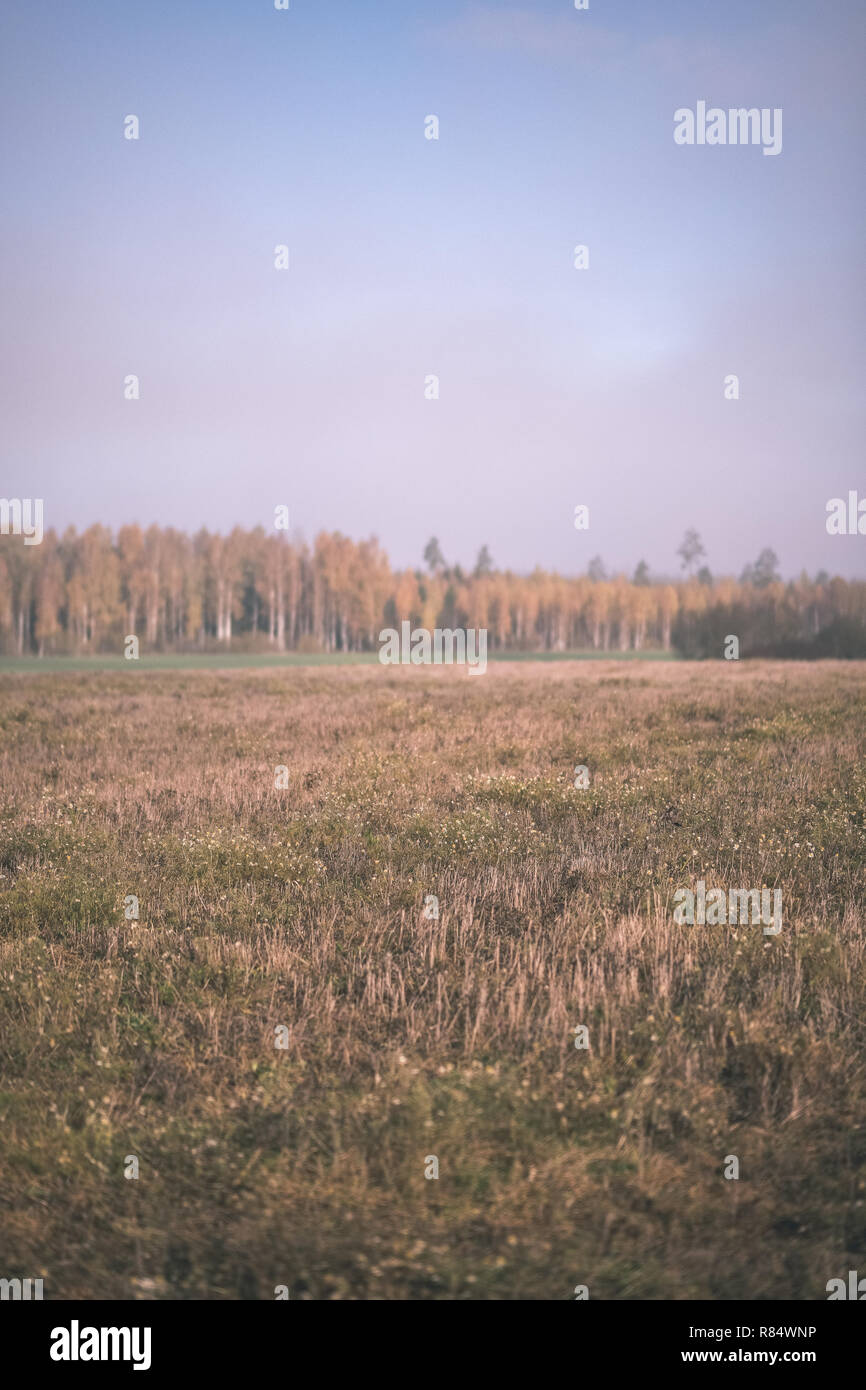 empty field in late autumn in brown fall colors - vintage old film look ...
