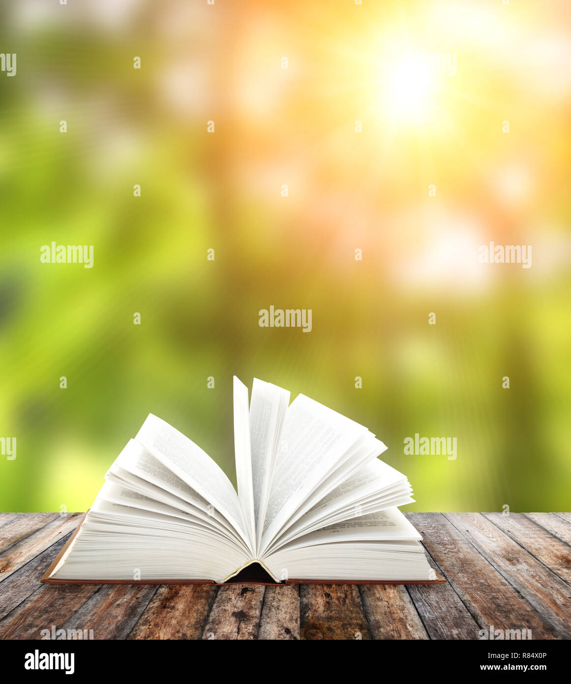 Open book on wooden planks Stock Photo - Alamy