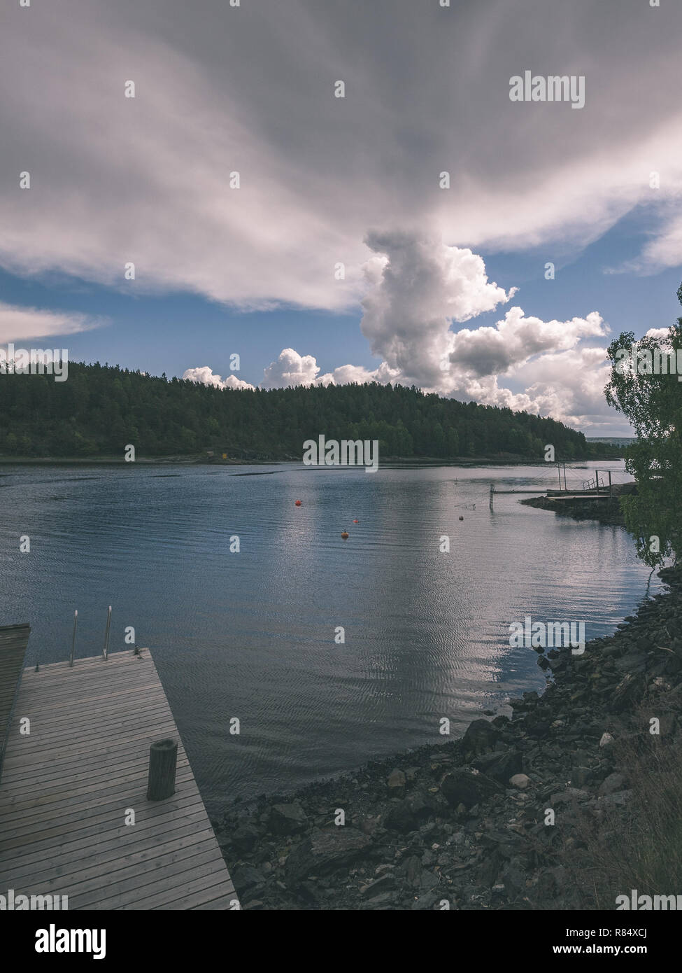 rocky coastline in Norway with few pine trees and calm water under blue ...