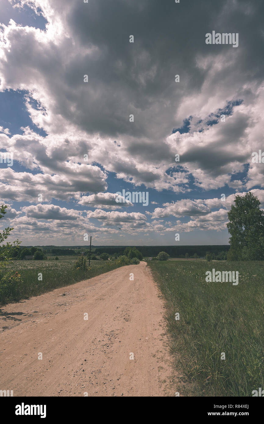 simple countryside forest road in perspective with foliage and trees ...