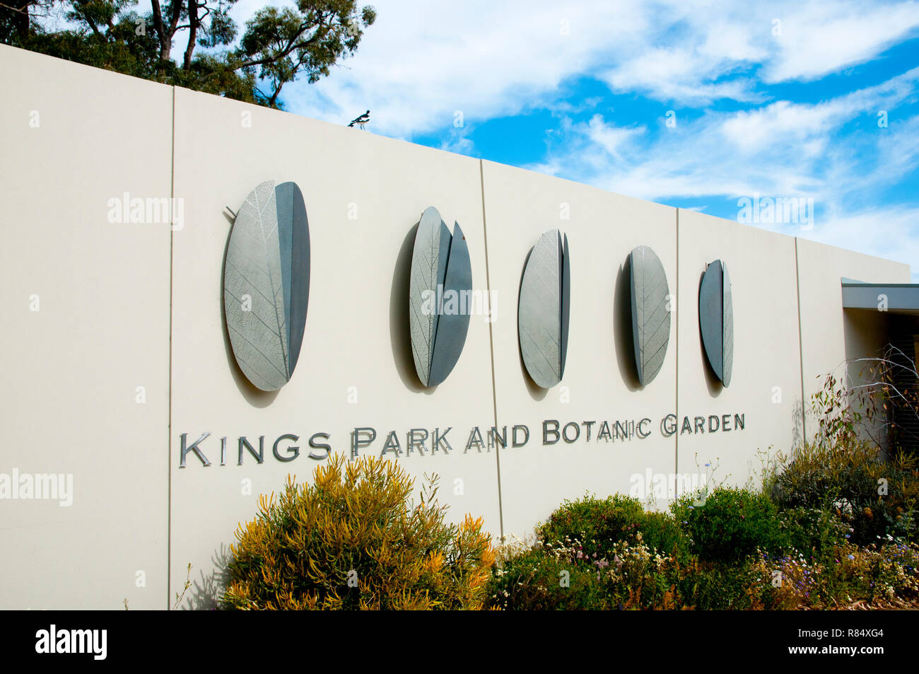Kings Park Botanical Garden - Perth - Australia Stock Photo - Alamy