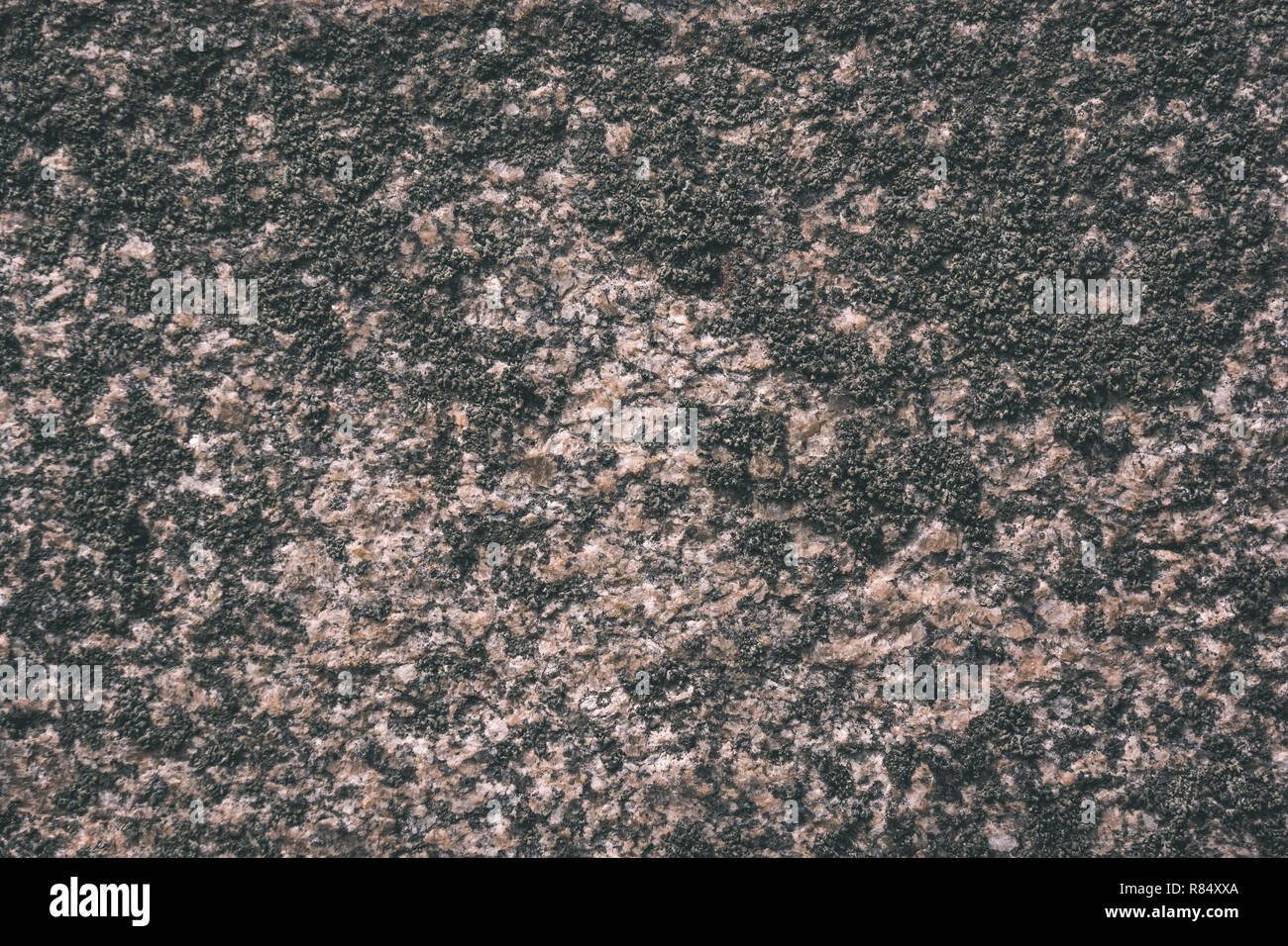 abstract texture sand pattern near water body with some plants ...