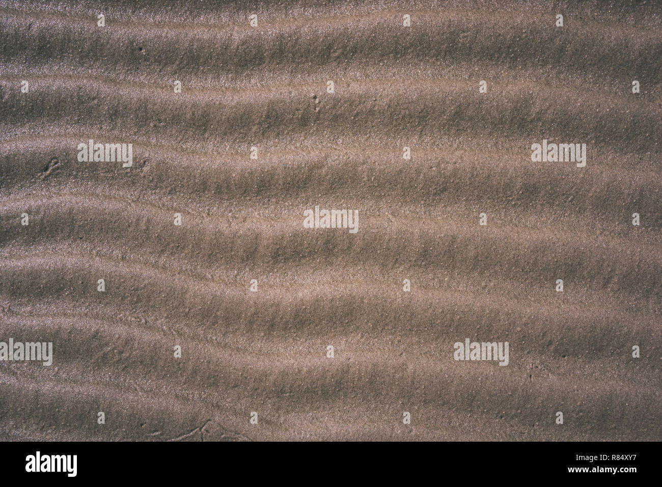 abstract texture sand pattern near water body with some plants ...