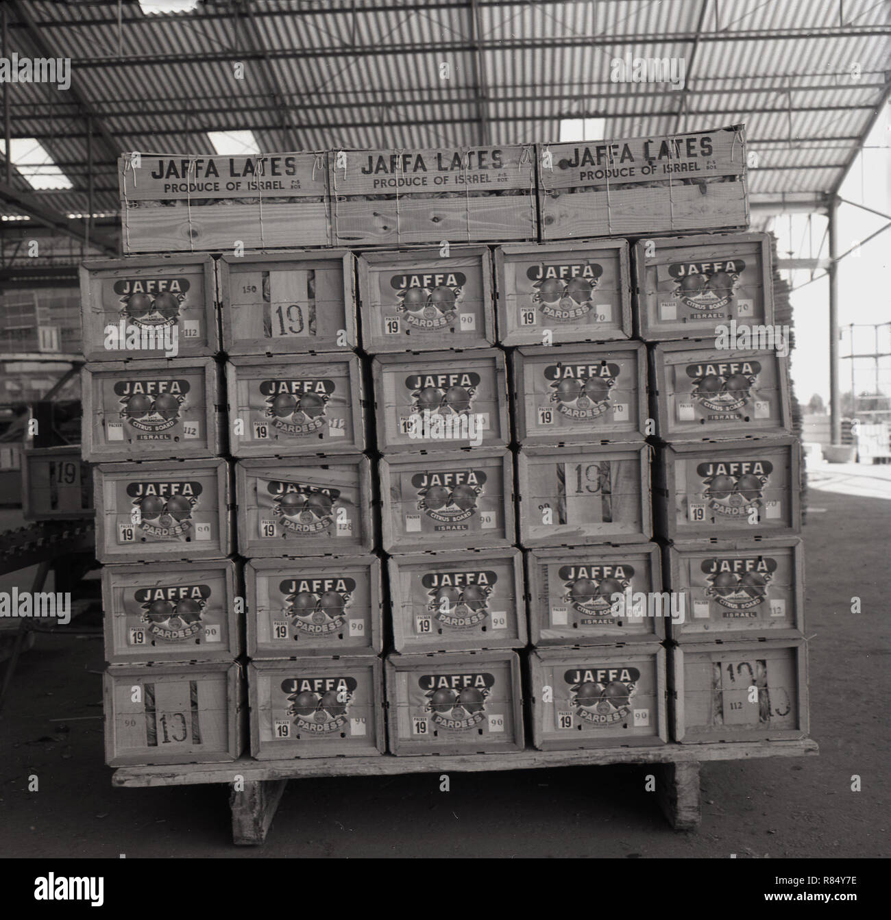 1950s, historical, wooden boxes of Jaffa Pardess oranges, selected ...