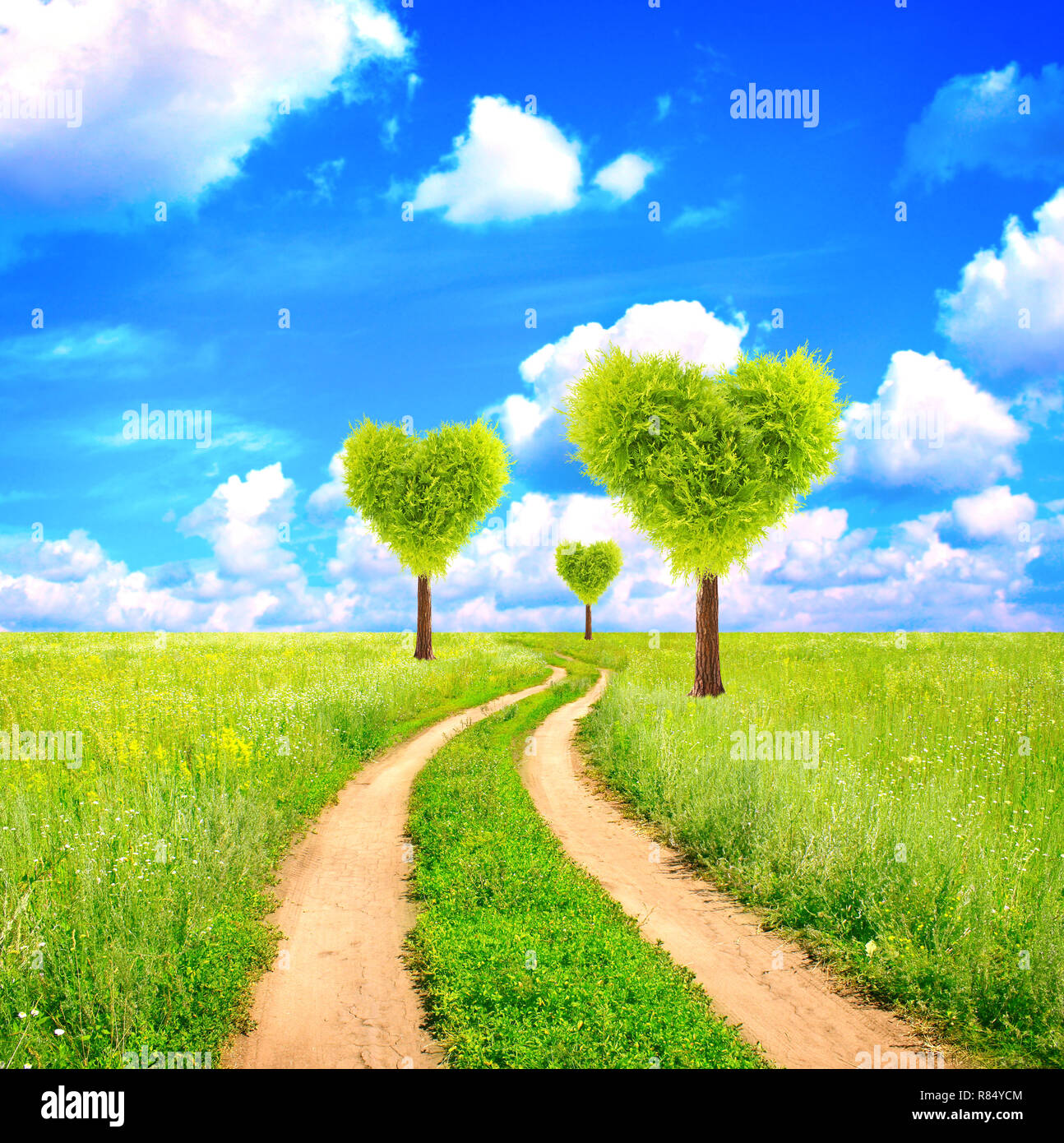 Heart shape trees on green field Stock Photo - Alamy