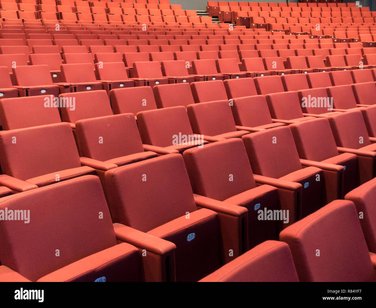 Seating in The Arena and Convention Centre Liverpool Stock Photo - Alamy