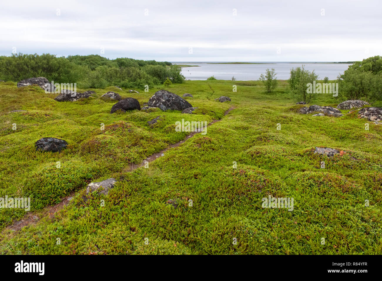 Bolshoy Zayatsky Island. Solovetsky archipelago, White sea, Russia ...