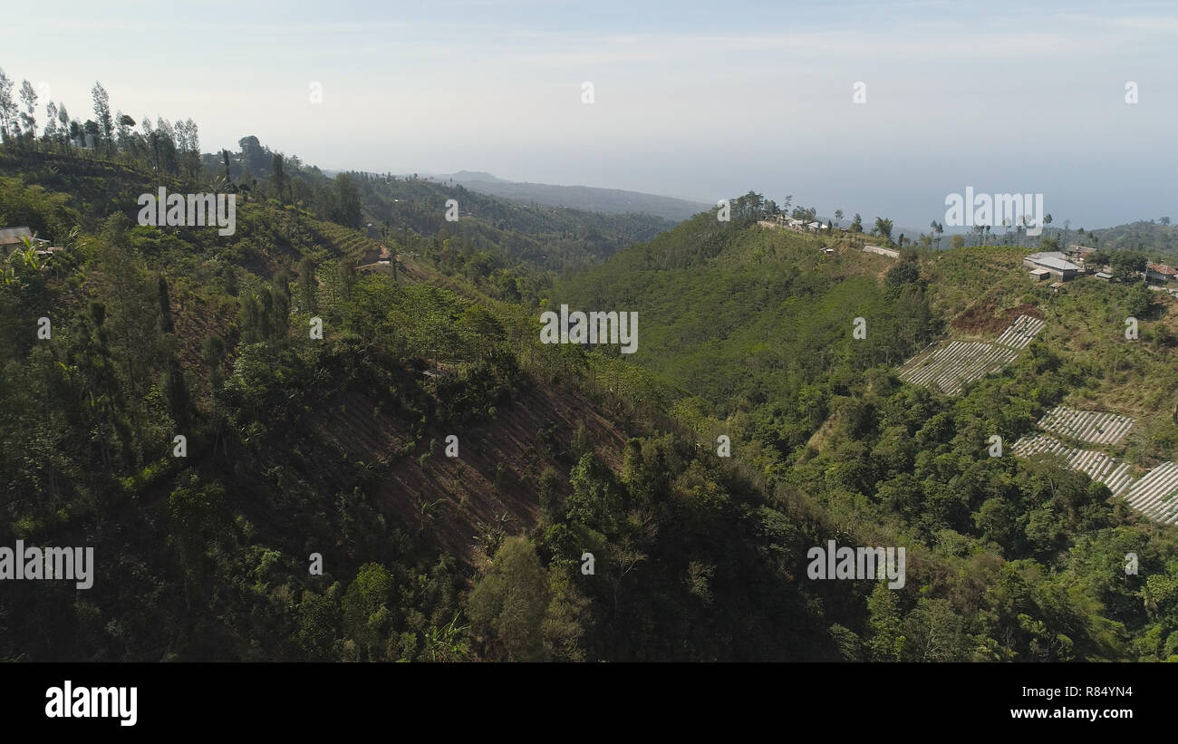 rural landscape mountains with farmlands, village, fields with crops ...