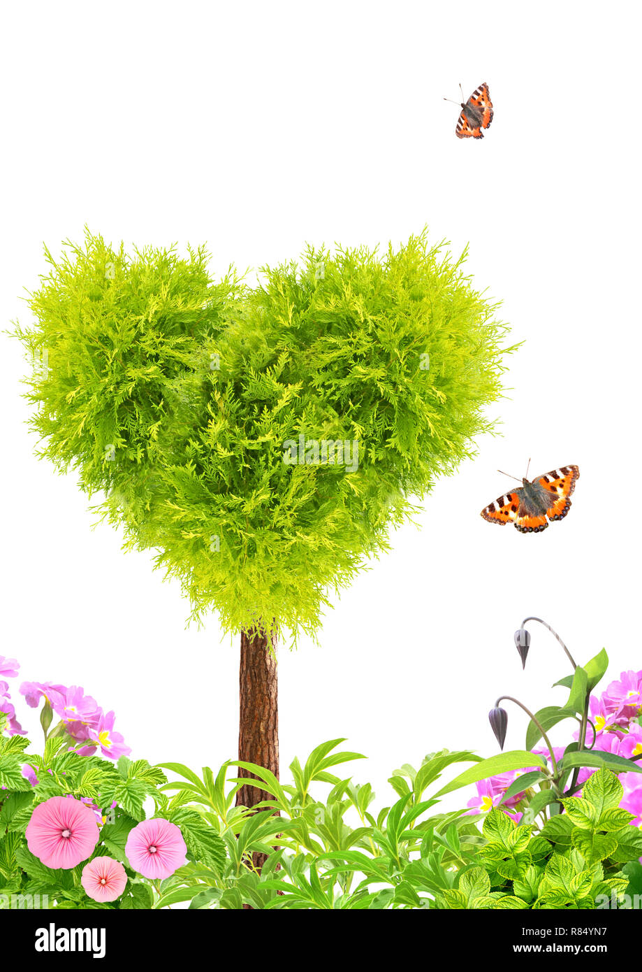 Heart shape tree and flowers. Isolated on white background Stock Photo ...