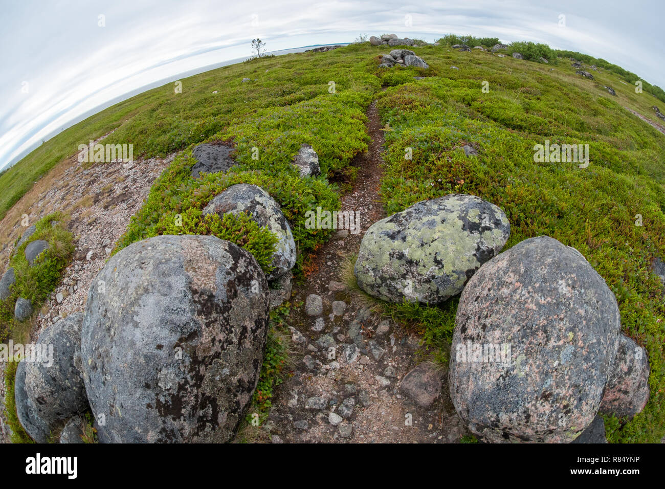 Stone labyrinths on the Bolshoy Zayatsky Island. Solovetsky archipelago ...