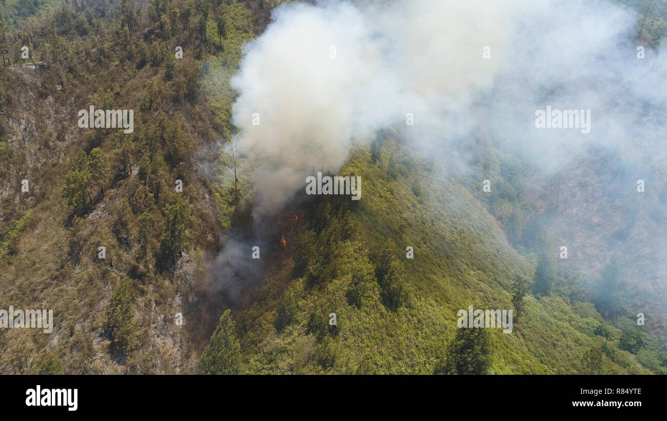 aerial view forest fire smoke on the slopes hills. fire in mountain ...