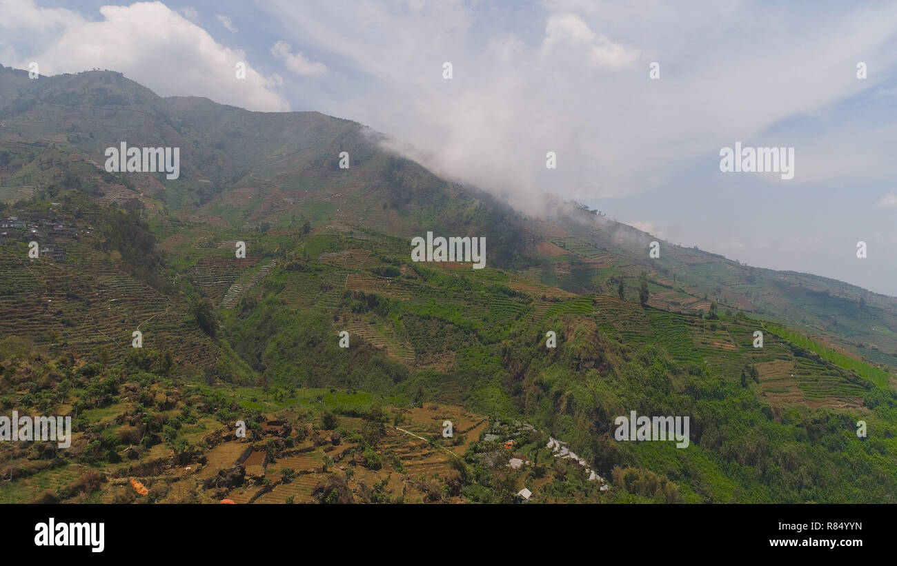 agricultural land in mountains fields with crops, trees. Aerial view ...