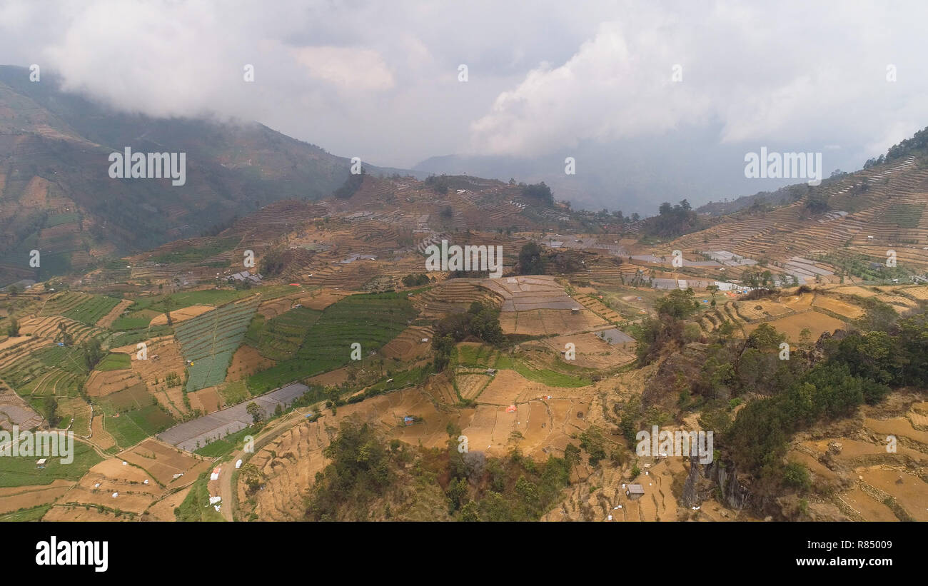 agricultural land in mountains fields with crops, trees. Aerial view ...