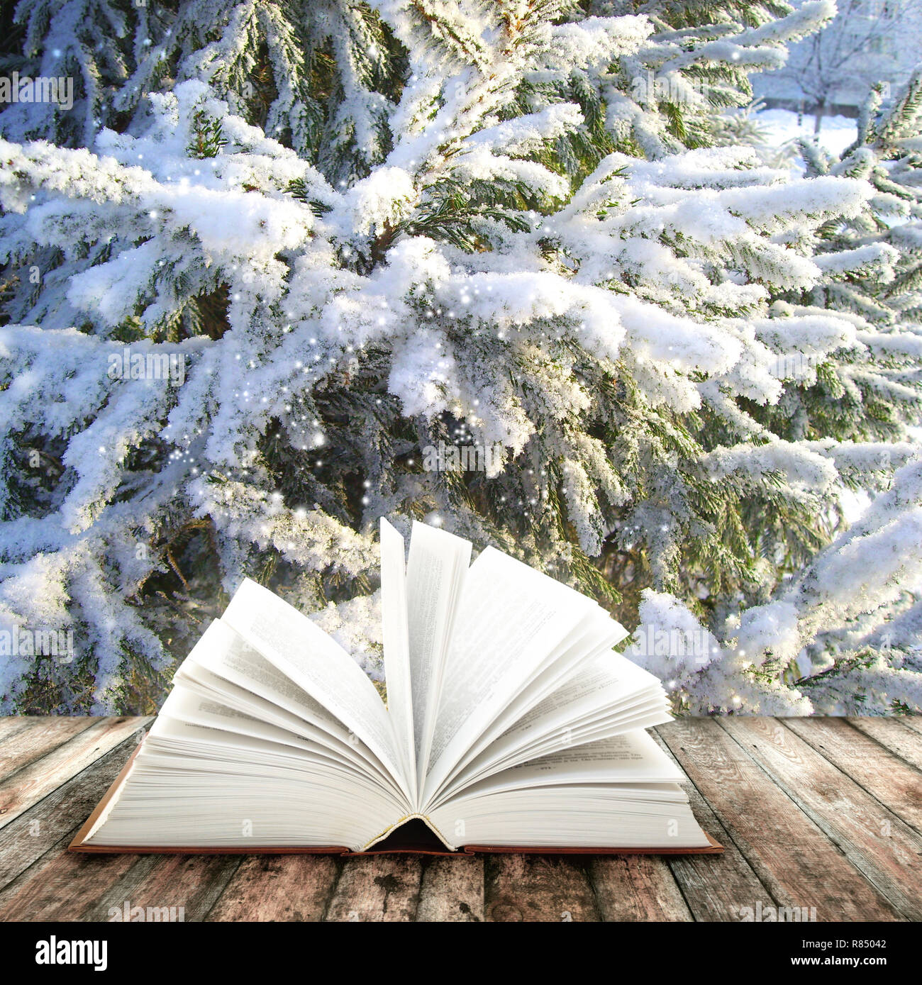 Book of nature on winter background Stock Photo - Alamy