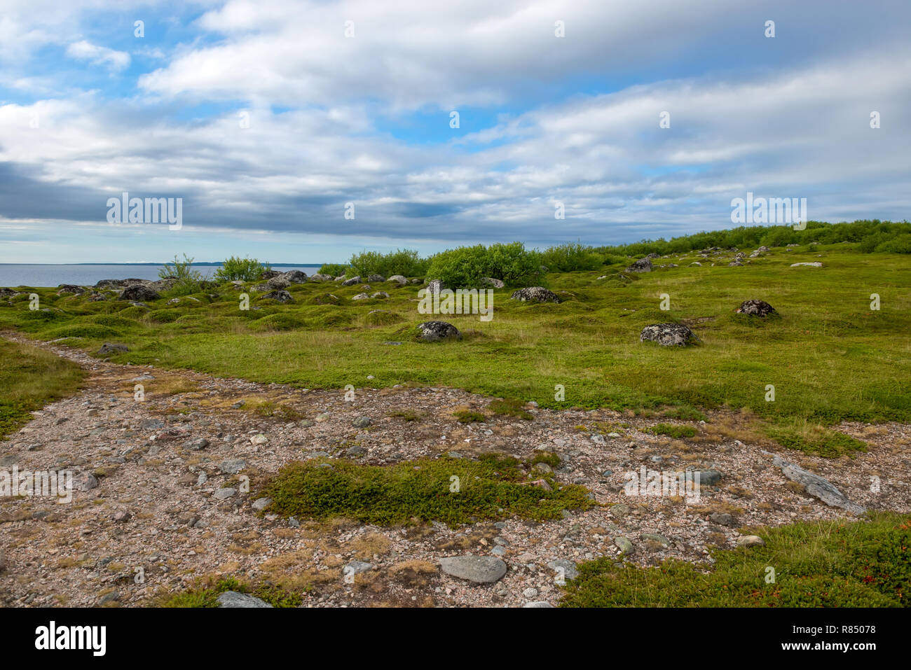 Bolshoy Zayatsky Island. Solovetsky archipelago, White sea, Russia ...