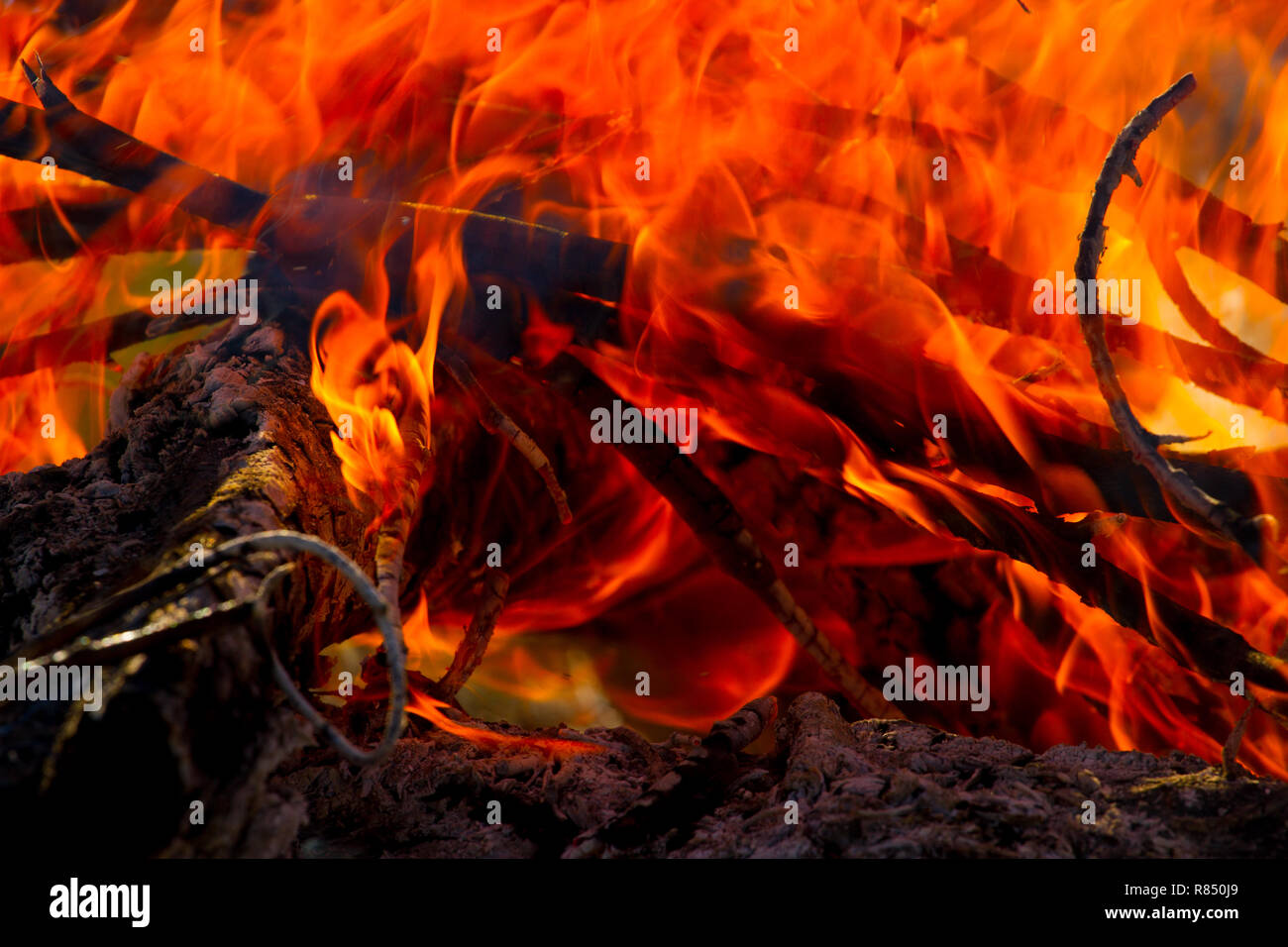 Close up of camp fire flames and fire Stock Photo - Alamy
