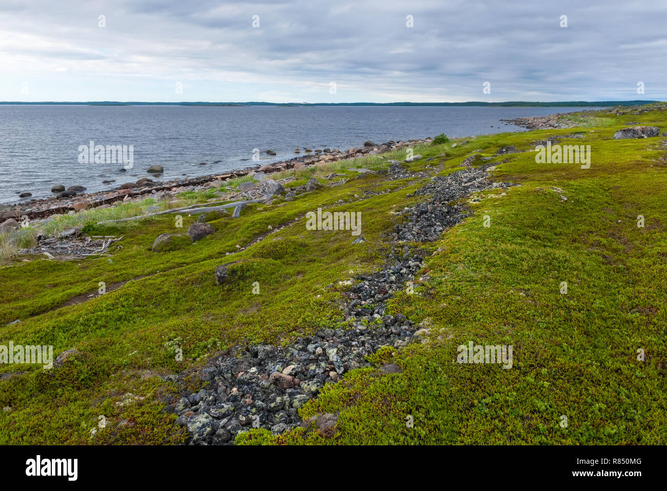 Bolshoy Zayatsky Island. Solovetsky archipelago, White sea, Russia ...