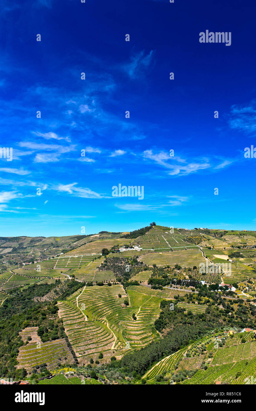 Vine terrace hi-res stock photography and images - Alamy