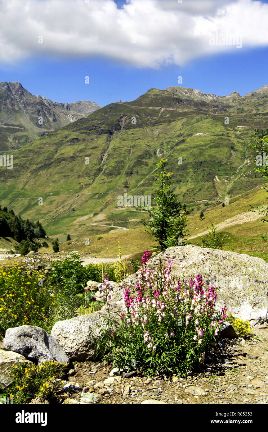 The Pyrenees.Department of Hautes-Pyrenees.France.On route to the Col ...