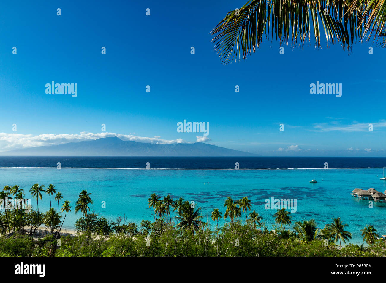 French polynesia tahiti waves blue hi-res stock photography and images - Alamy