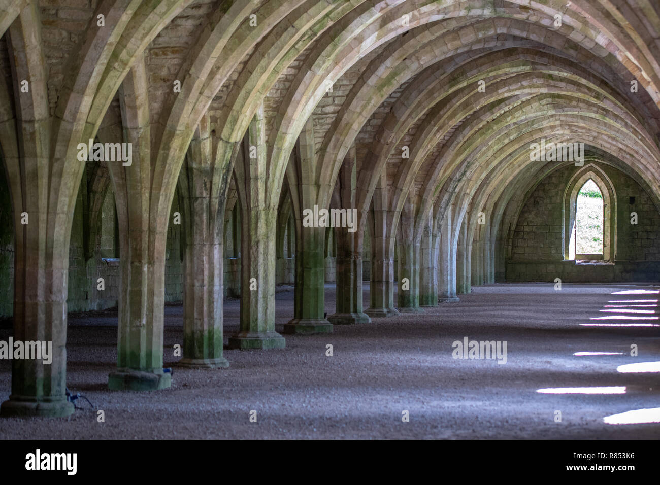 Rib vaulted pointed arch hi-res stock photography and images - Alamy