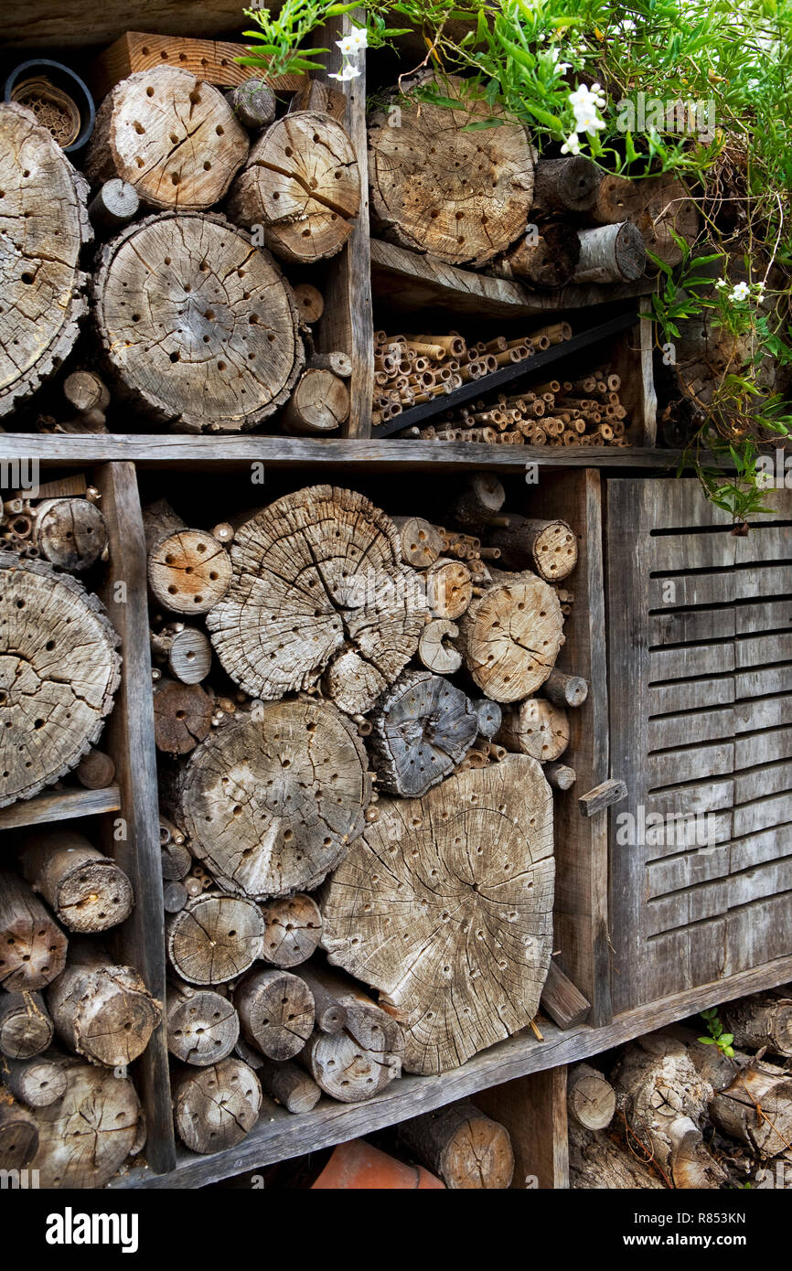 Rustic insect house hi-res stock photography and images - Alamy