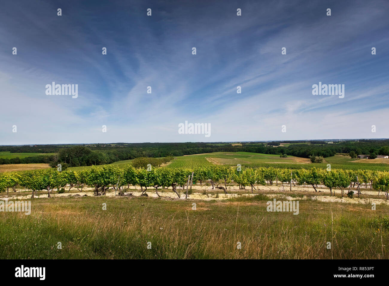 Facing green hi-res stock photography and images - Alamy