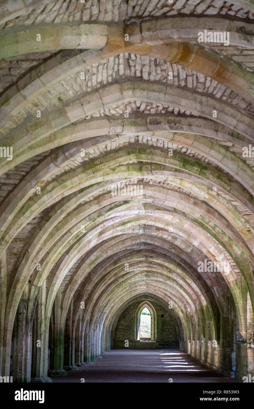 Rib vaultings repeat along the ceiling of the Fountains Abbey cellarium ...