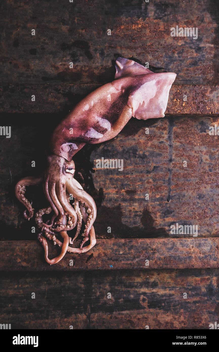 Seafood squid calamary. Fresh raw whole squid with tentacles on rustik ...