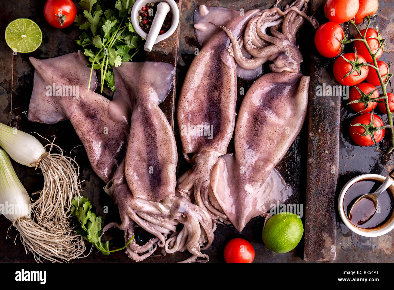 Fresh raw seafood squid calamary and ingredients on dark background ...