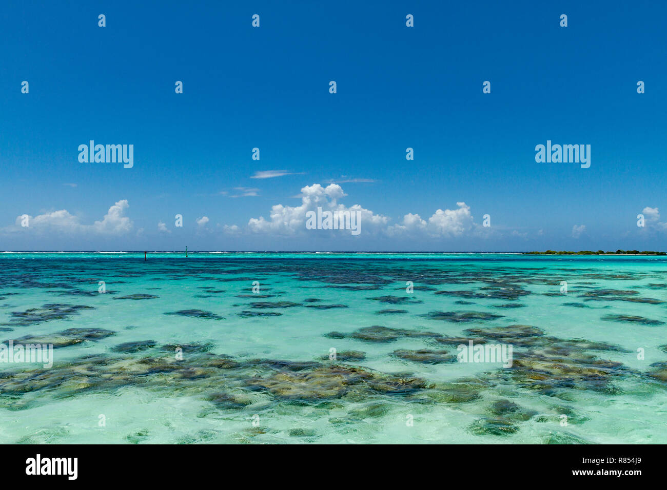 Moorea island, French Polynesia Stock Photo - Alamy