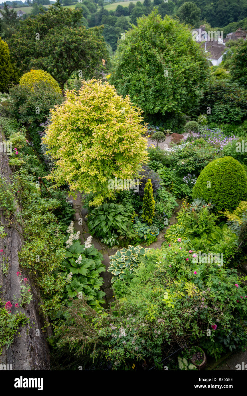 A lush green garden, Richmond, Yorkshire , UK Stock Photo - Alamy